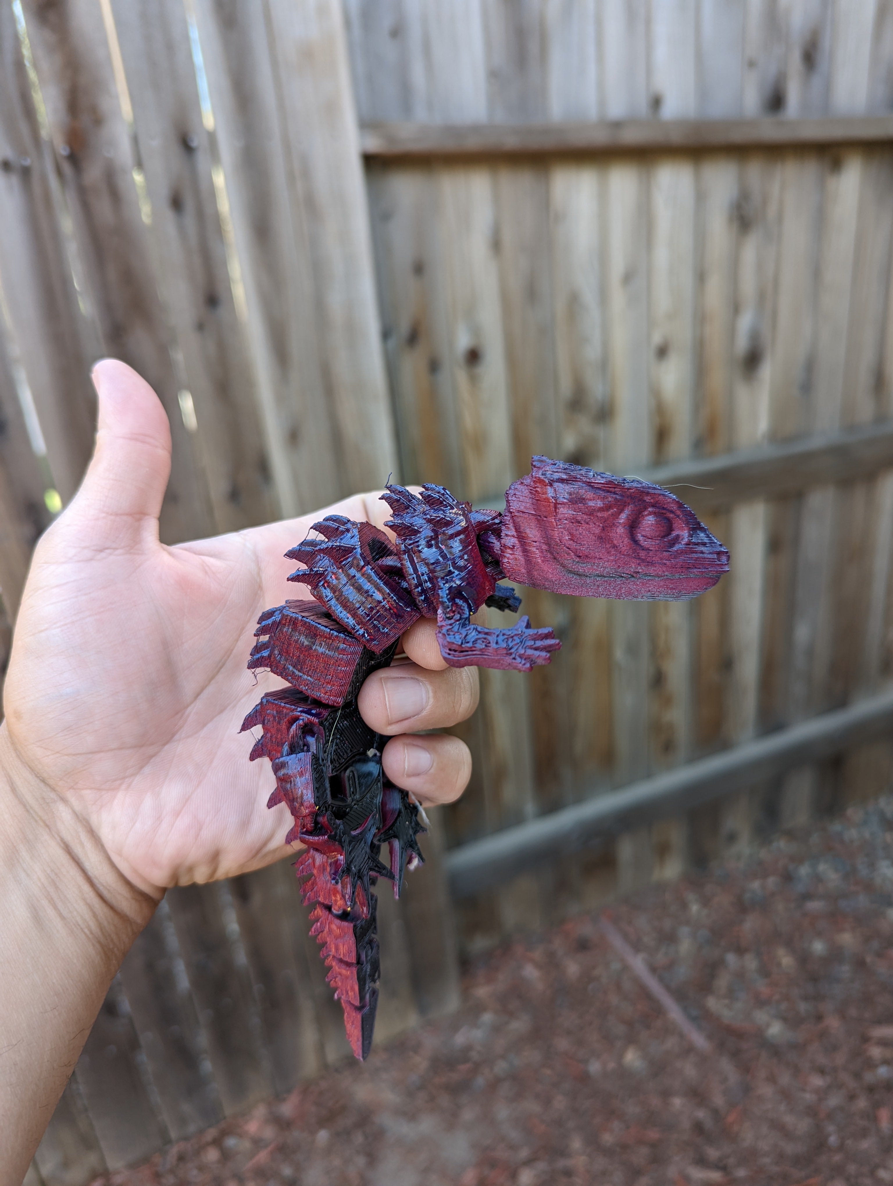 Red Lizard That Looks Like A Dragon
