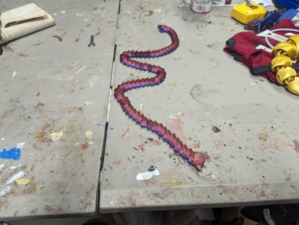 Real Small Intestine Stretched Out